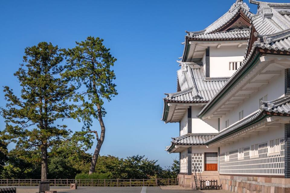 Um edifício japonês tradicional com telhados ricamente decorados e uma grande árvore em primeiro plano.
