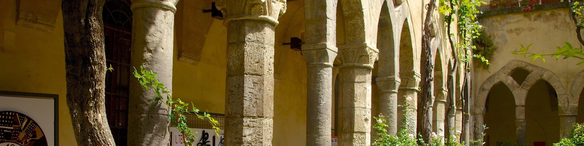 Chiesa di San Francesco showing a church or cathedral