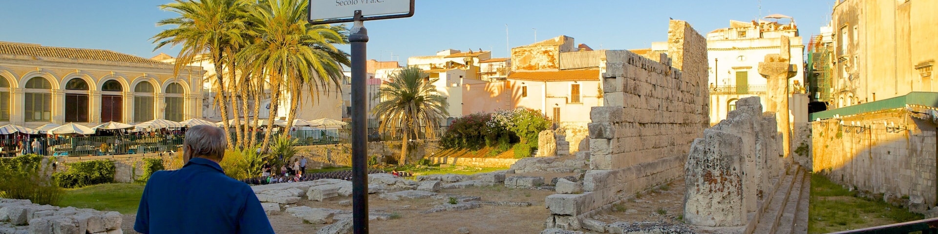 Temple of Apollo which includes heritage elements and a ruin as well as an individual male