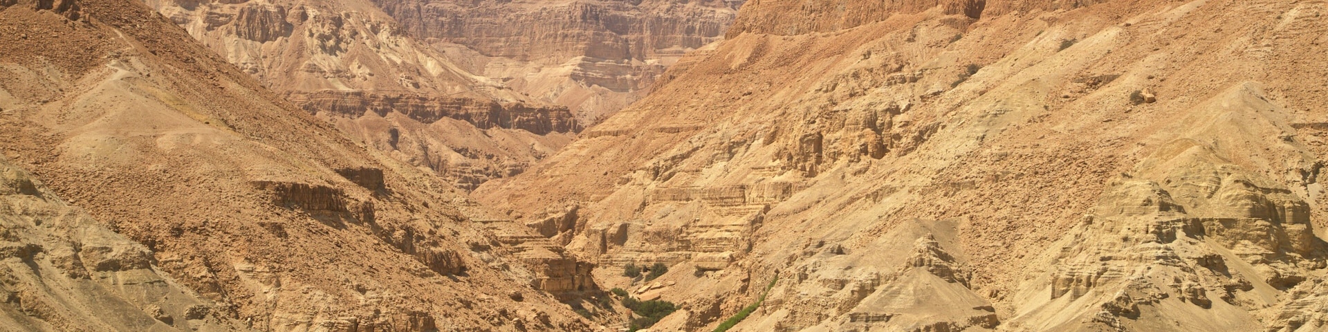 Ein Gedi National Park showing desert views, a gorge or canyon and landscape views