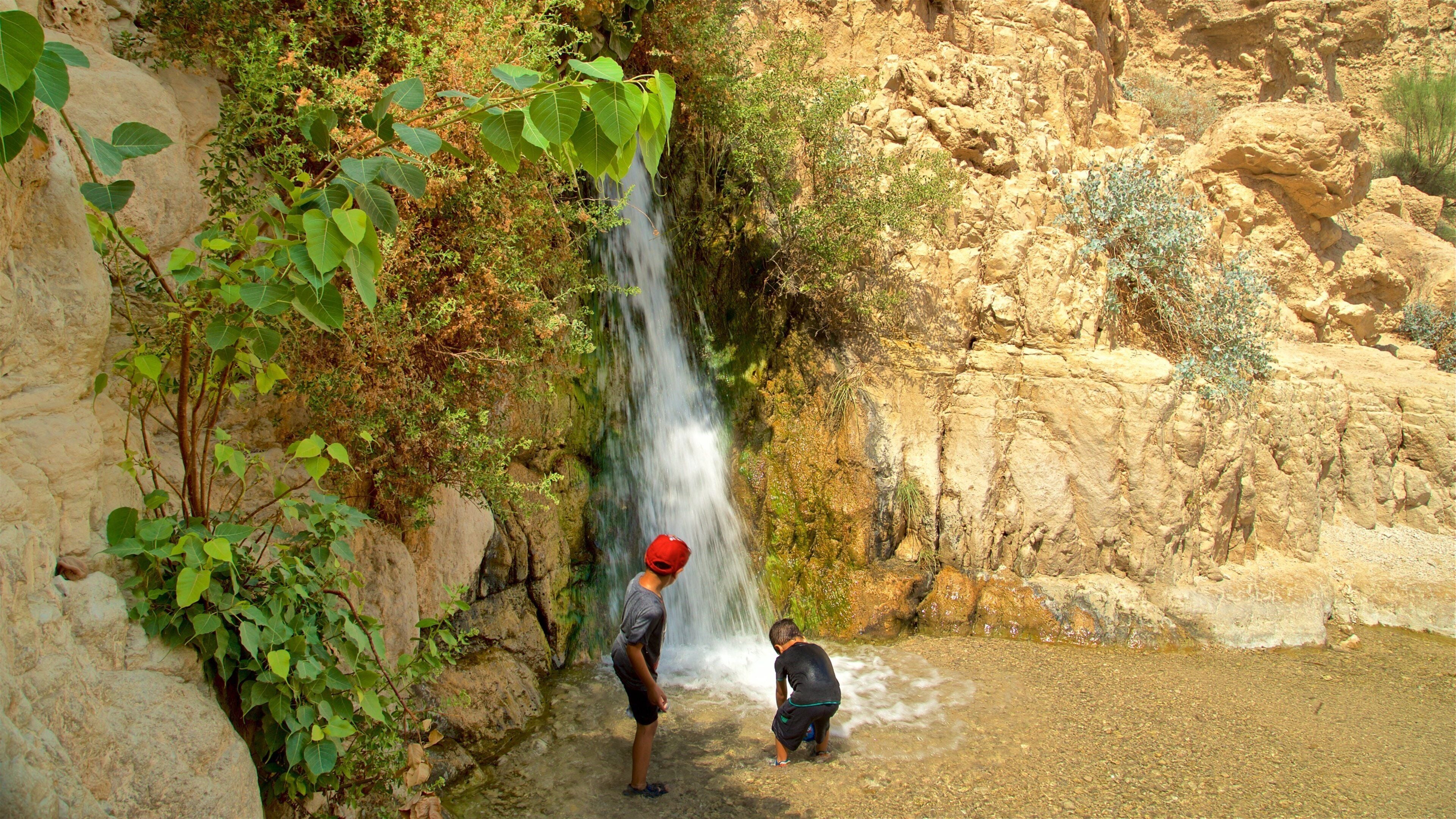 Uma cascata em um cânion rochoso, com vegetação ao redor.