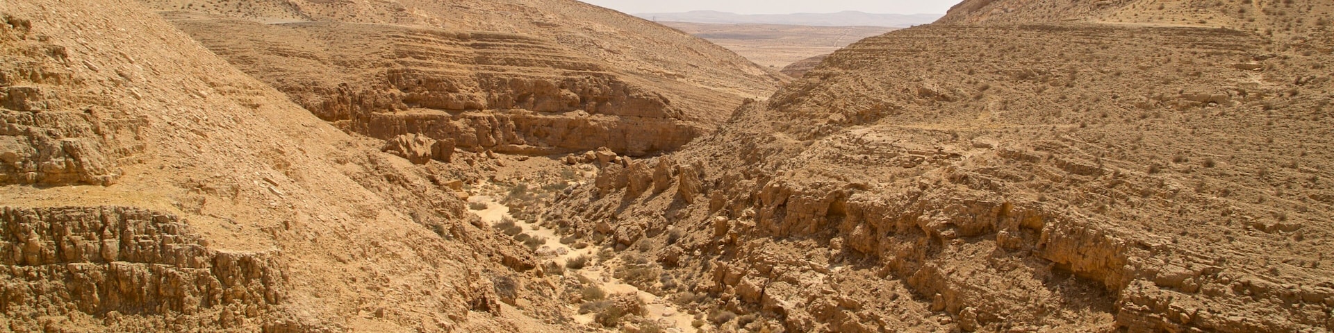 Parque Nacional de Mamshit mostrando paisagens do deserto, um desfiladeiro ou canyon e paisagem