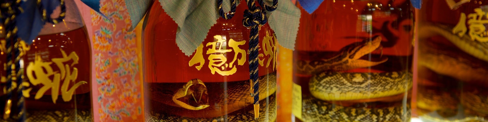 Okinawa World showing dangerous animals