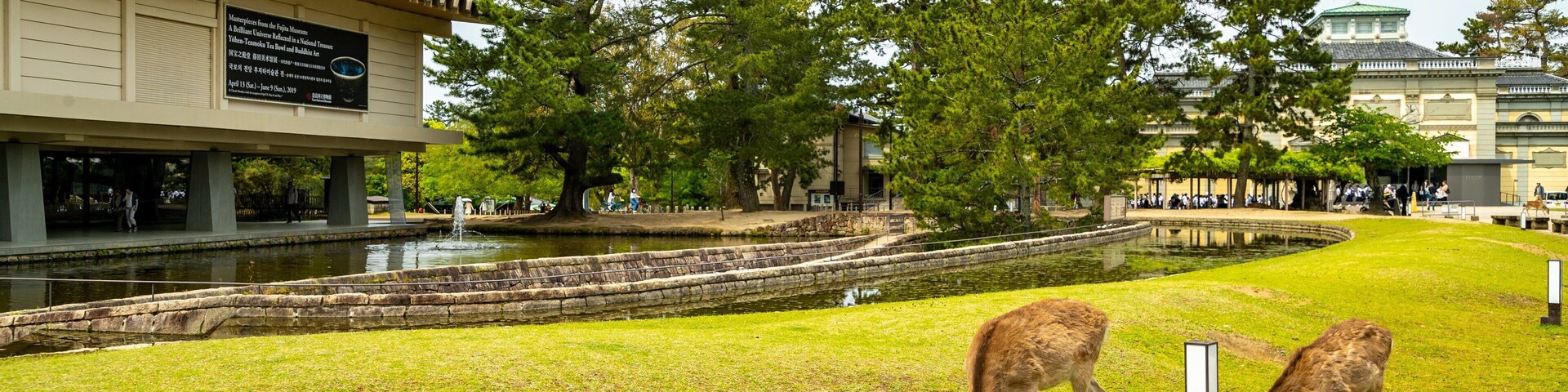 Nara National Museum featuring land animals, cuddly or friendly animals and a garden