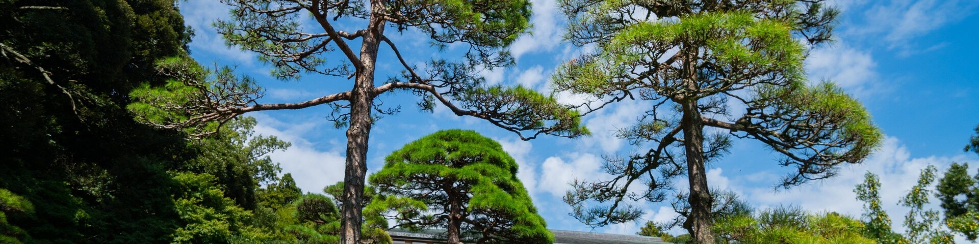 Naritasan Park which includes a garden