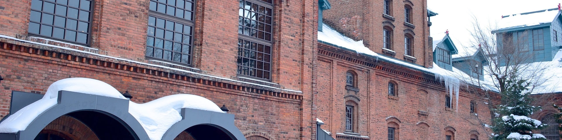 Sapporo Beer Museum which includes heritage architecture, a city and snow