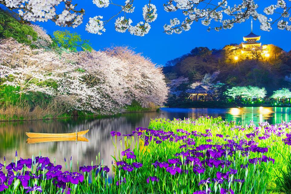 Um lago calmo com um barco a remo, cerejeiras em flor e um pagode tradicional iluminado ao entardecer.