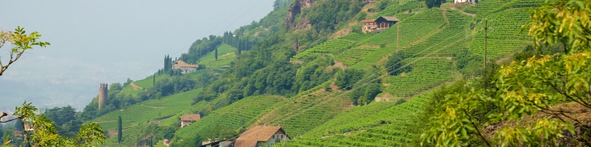 Runkelstein Castle which includes landscape views, farmland and tranquil scenes