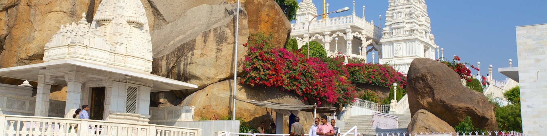 Templo de Birla Mandir mostrando um templo ou local de adoração assim como um grande grupo de pessoas