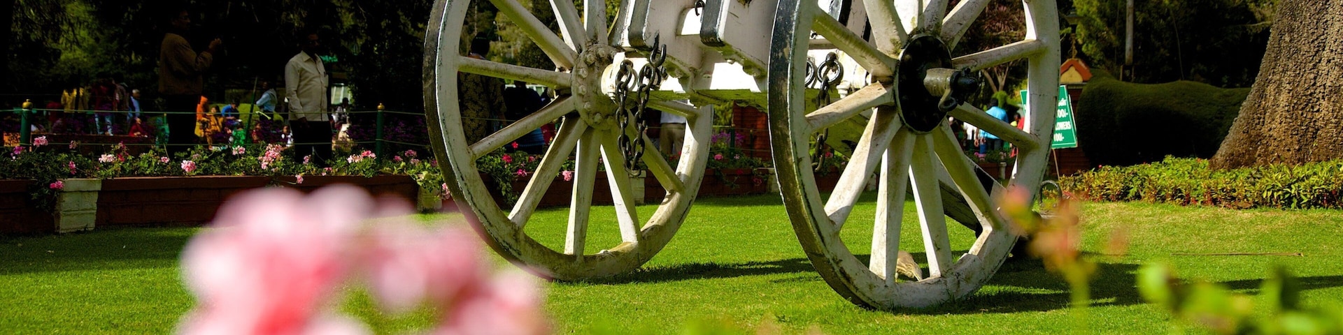 Botanical Gardens which includes a park