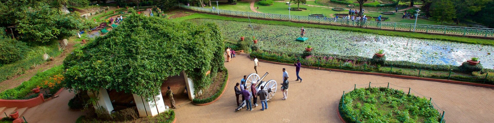 Botanical Gardens showing a park