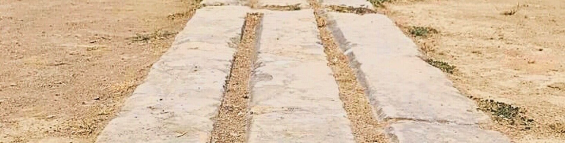 Uma trilha de pedra serpenteia por um campo gramado, com pessoas caminhando e paradas ao redor.