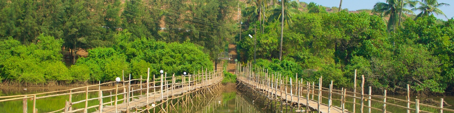 Uma ponte de madeira sobre um rio calmo, cercada por vegetação exuberante e palmeiras.