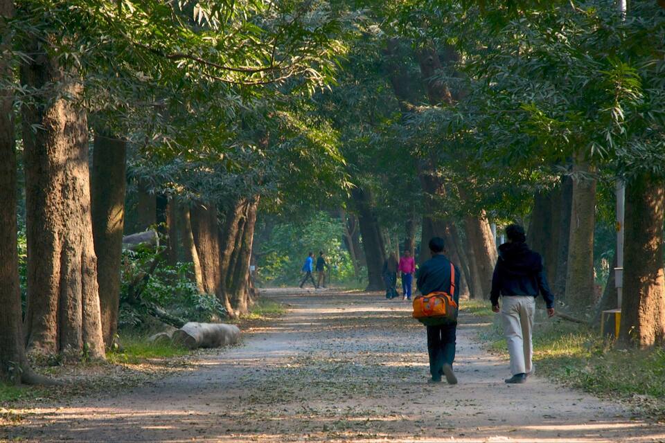 Uma trilha na floresta com pessoas caminhando.