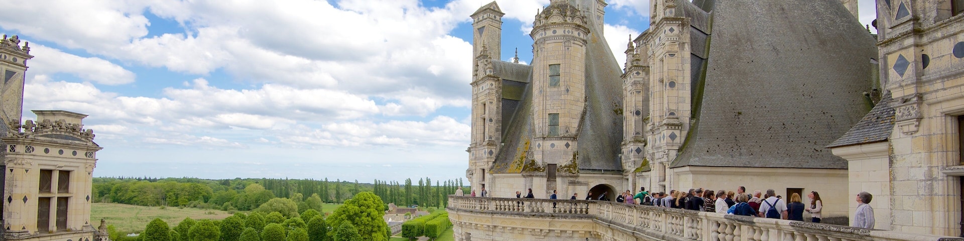 Chateau de Chambord showing chateau or palace, interior views and views