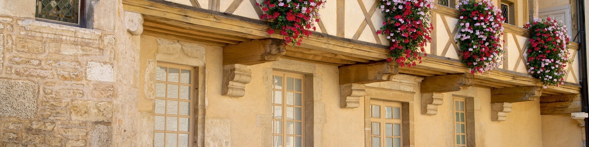 Burgundy Wine Museum showing flowers