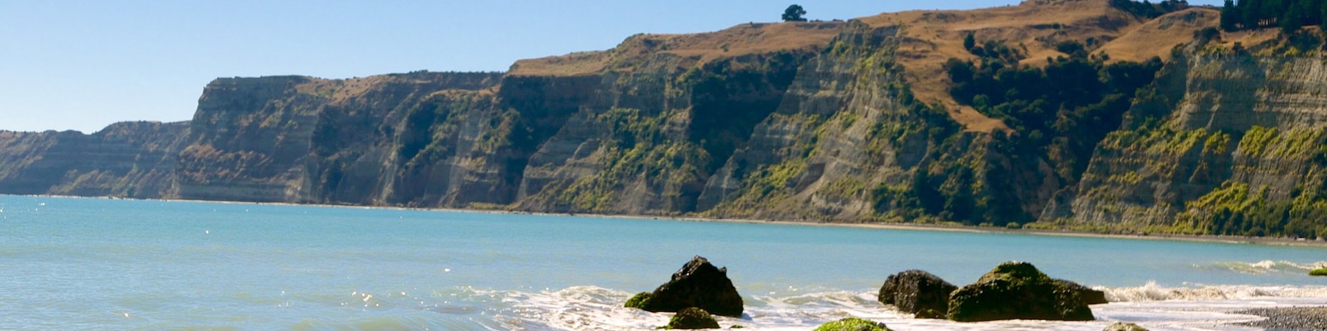 Cape Kidnappers mostrando litoral rochoso