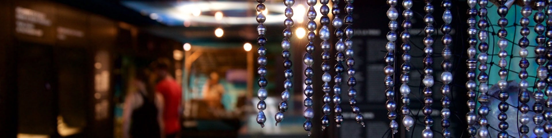 Black Pearl Museum featuring interior views