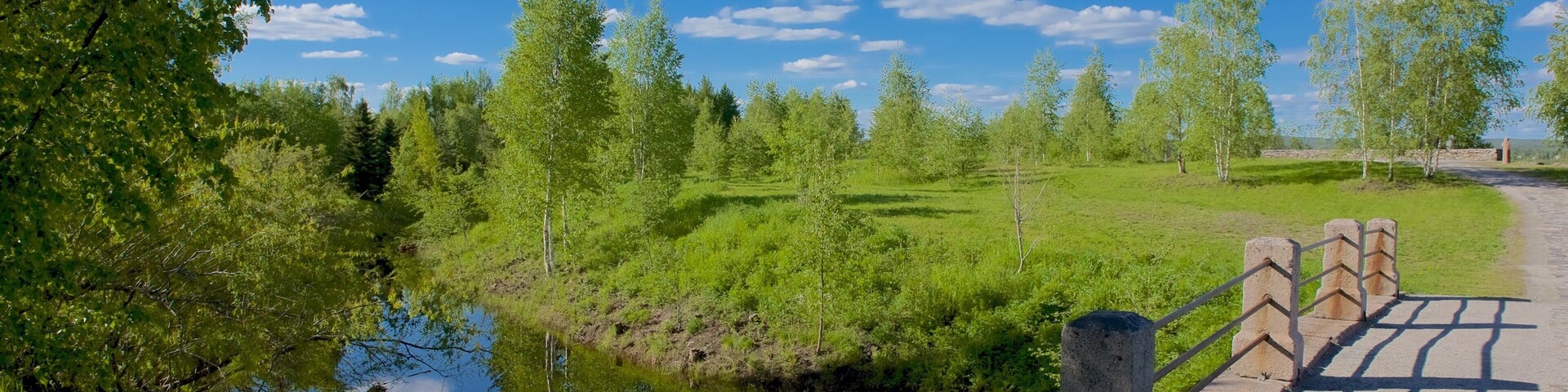 Um parque tranquilo com um lago, vegetação exuberante e um céu azul límpido.