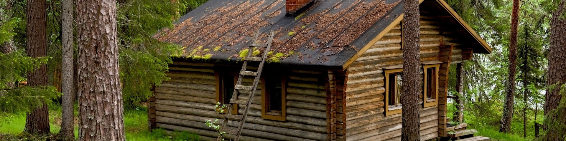 Pallas-Yllastunturi National Park featuring a house and forests