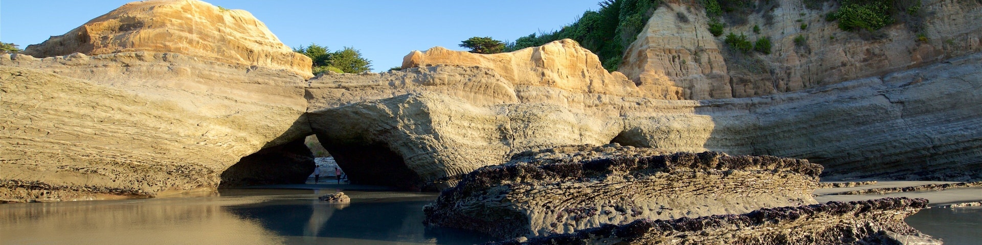 West Coast caracterizando litoral acidentado e uma praia de areia