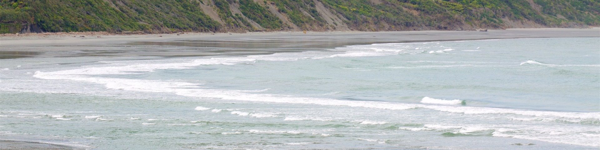 Rapahoe Beach featuring a sandy beach