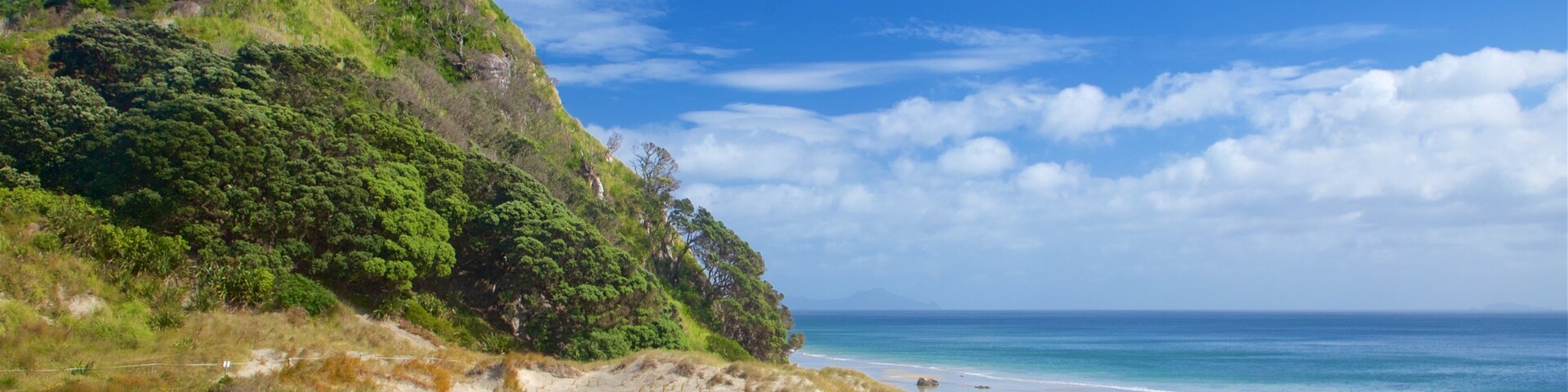 Mangawhai Heads Beach featuring a beach and general coastal views