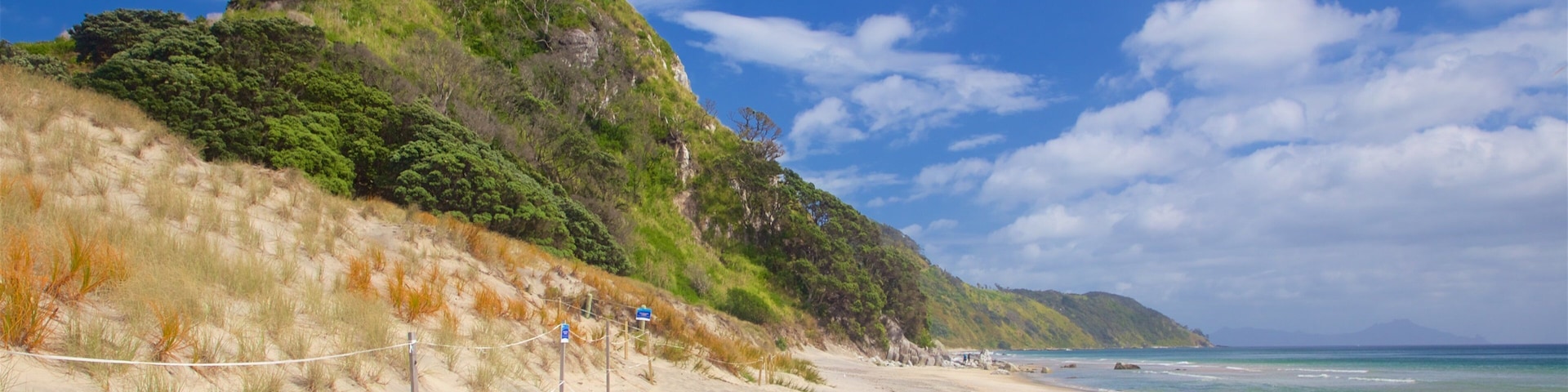 Mangawhai Heads Beach featuring a sandy beach and general coastal views
