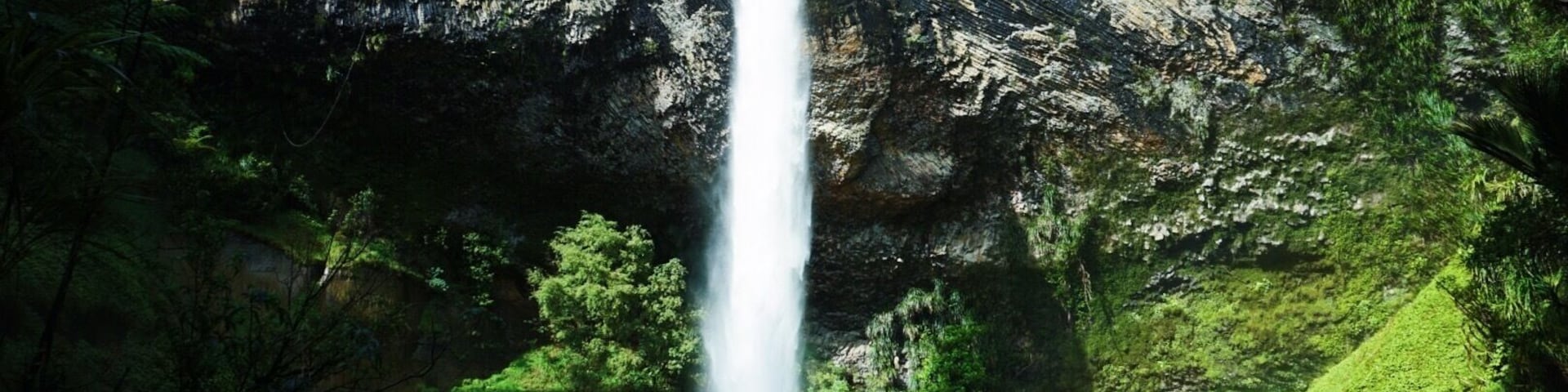 Uma cascata desce por um penhasco rochoso, rodeada por vegetação exuberante.