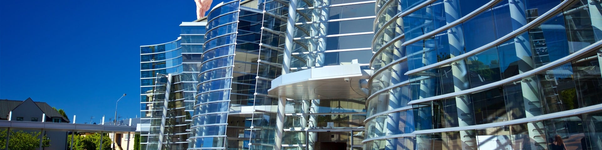 Christchurch Art Gallery which includes modern architecture as well as a small group of people