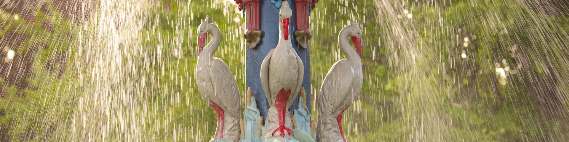 Christchurch Botanic Gardens featuring a fountain