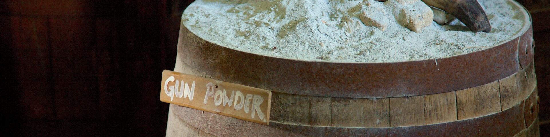 Fort Cornwallis featuring signage