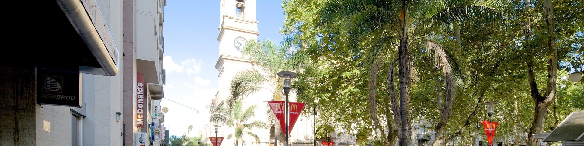 Montevideo Cathedral which includes street scenes, heritage architecture and a city