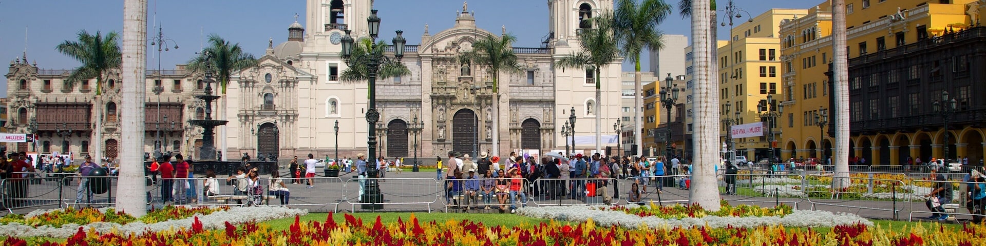 Plaza Mayor showing flowers and a garden
