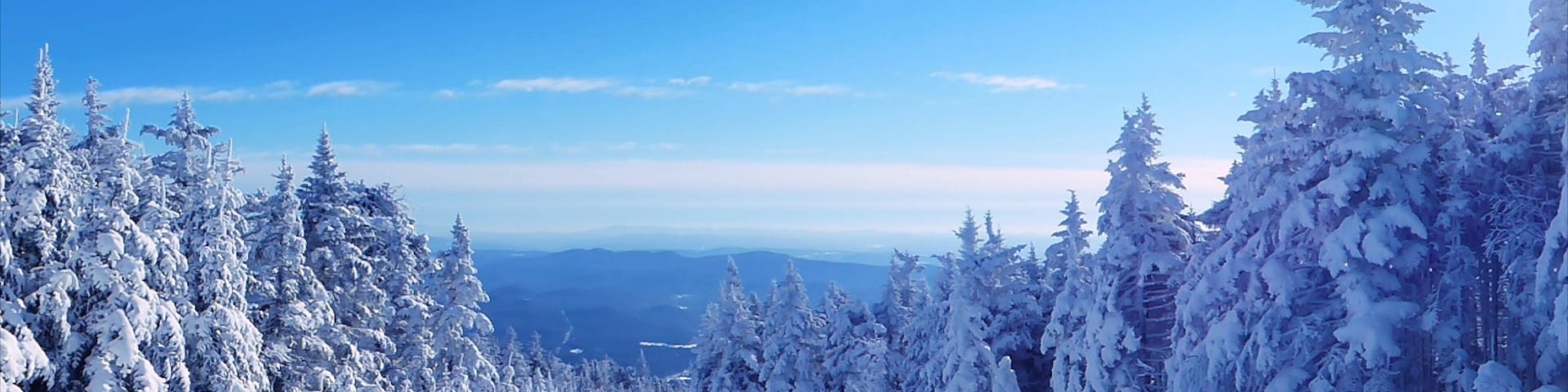 Okemo Valley Golf Club showing forest scenes and snow