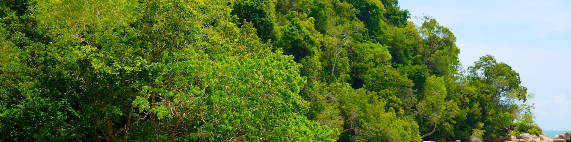 Parque Nacional de Penang caracterizando cenas de floresta, litoral acidentado e uma praia de areia