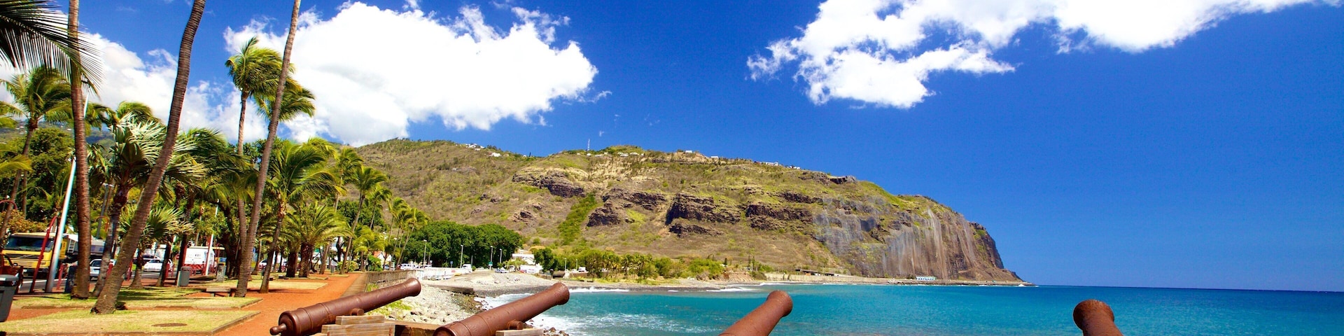 Reunion showing general coastal views, heritage elements and military items