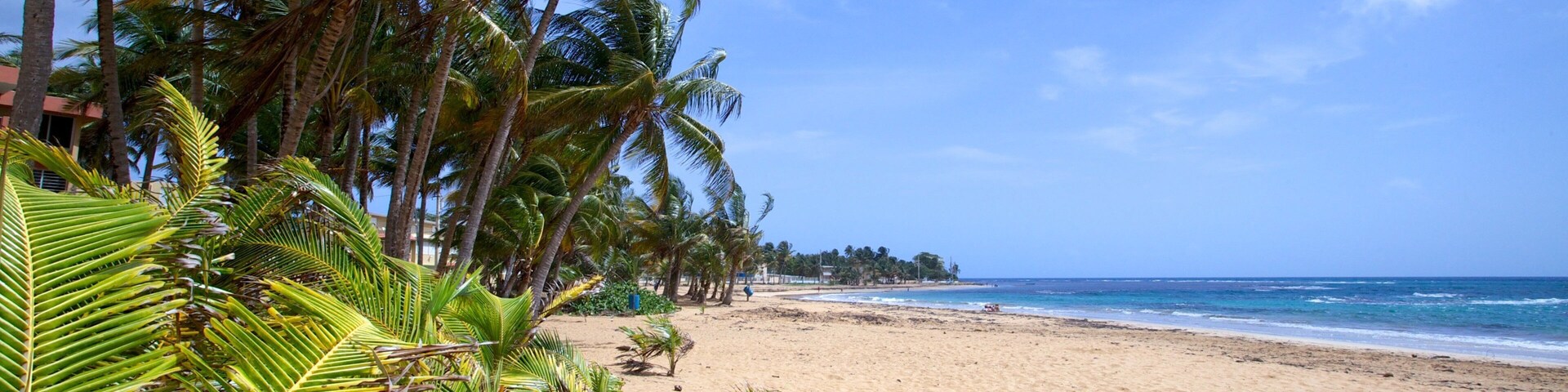Azul Beach showing tropical scenes and a sandy beach