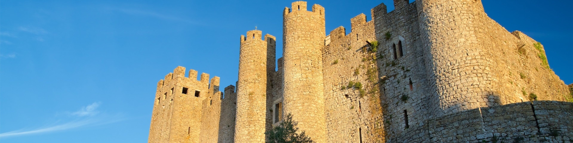 Obidos Castle showing a castle and heritage architecture