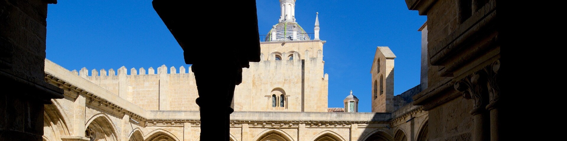 Velha Catedral mostrando um jardim e elementos de patrimônio