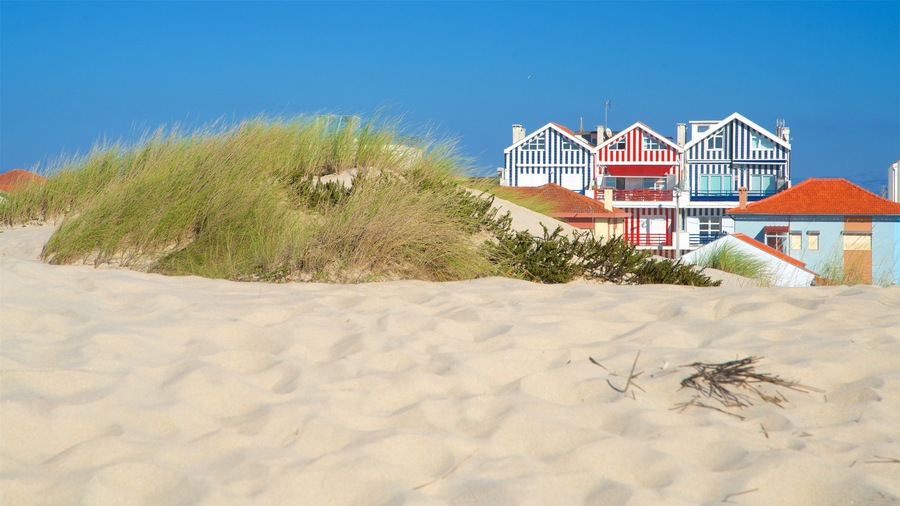 Uma praia arenosa com casas coloridas ao fundo.