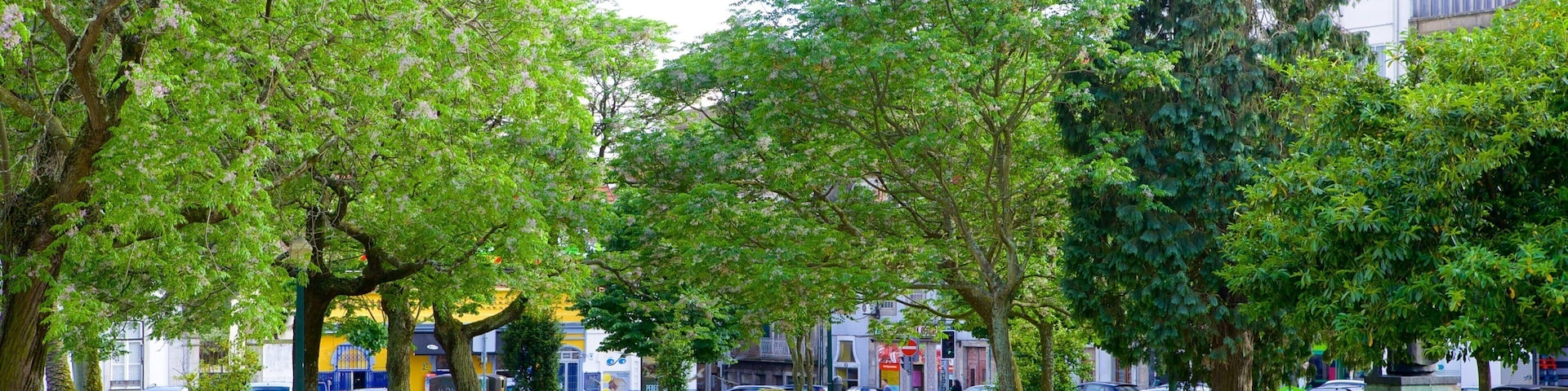 Praca da Republica which includes a garden and a city