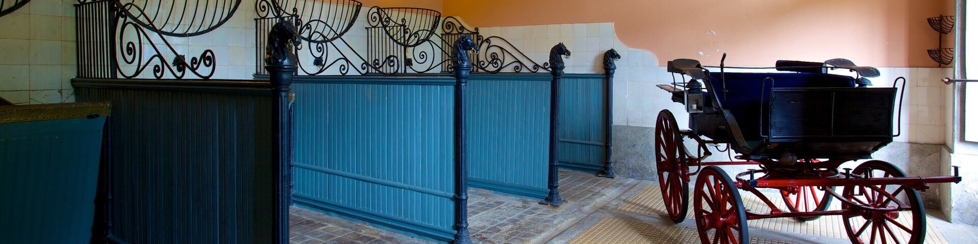 Palacio dos Biscainhos featuring heritage elements, interior views and a castle