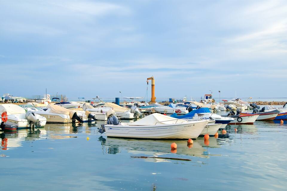 Uma marina com vários barcos atracados em águas calmas.