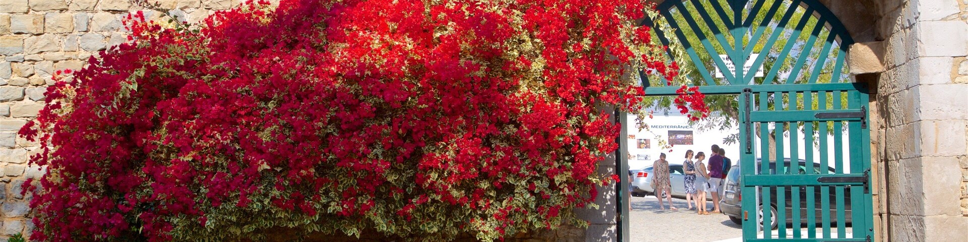 Castelo de Tavira que inclui flores silvestres