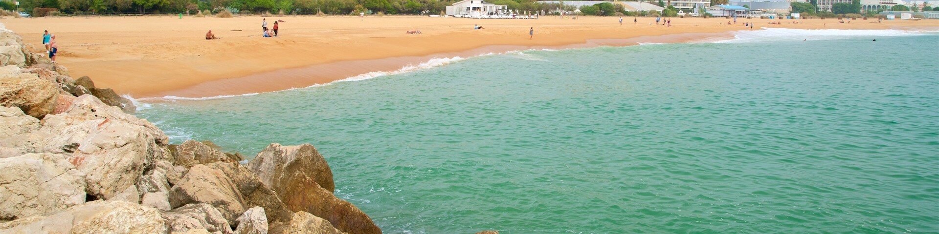 Marina Beach showing general coastal views, a beach and rugged coastline