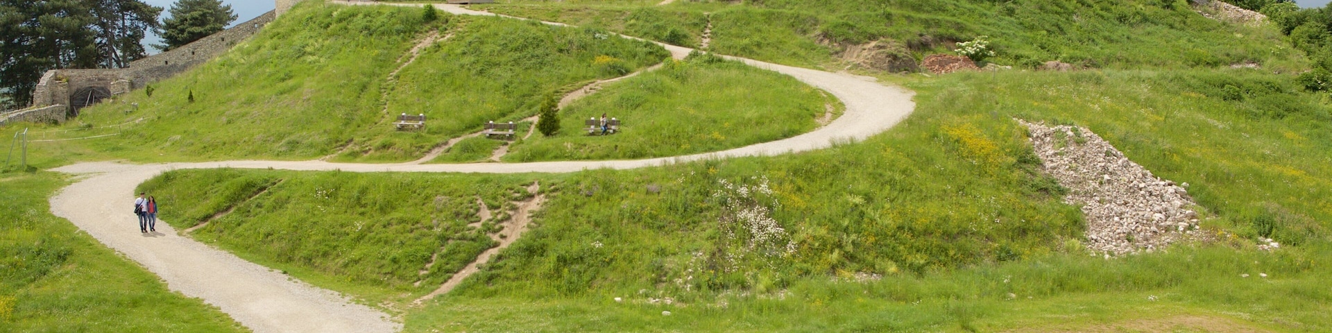 Rasnov Fortress showing chateau or palace as well as a small group of people