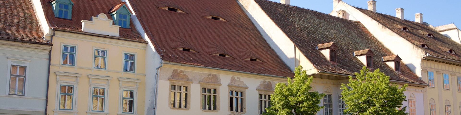 Piata Mare which includes a square or plaza and heritage architecture