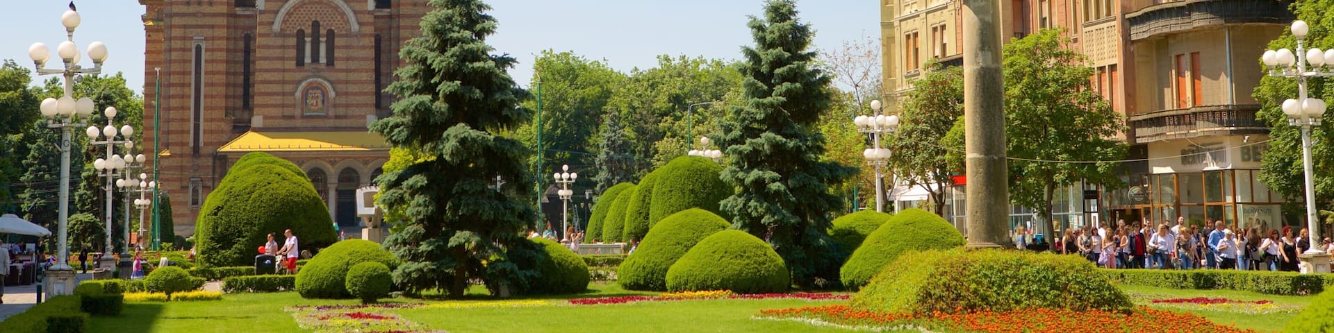 Romanian Orthodox Cathedral which includes a park and heritage architecture
