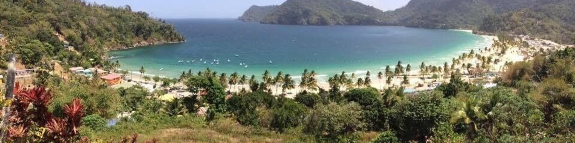 Paisagem costeira com praia, palmeiras e montanhas ao fundo.